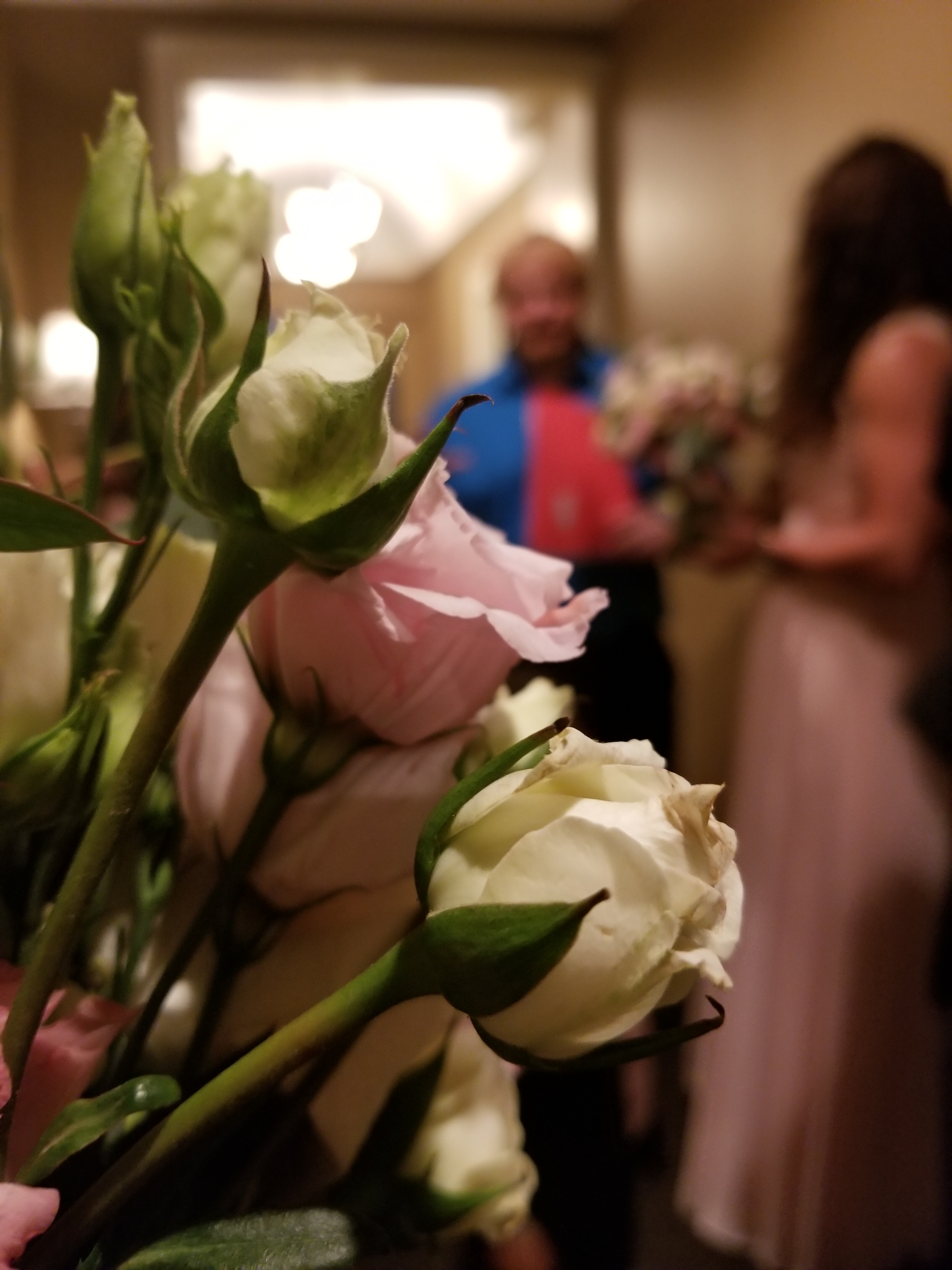 Photos for Composition – Matthew Floyd