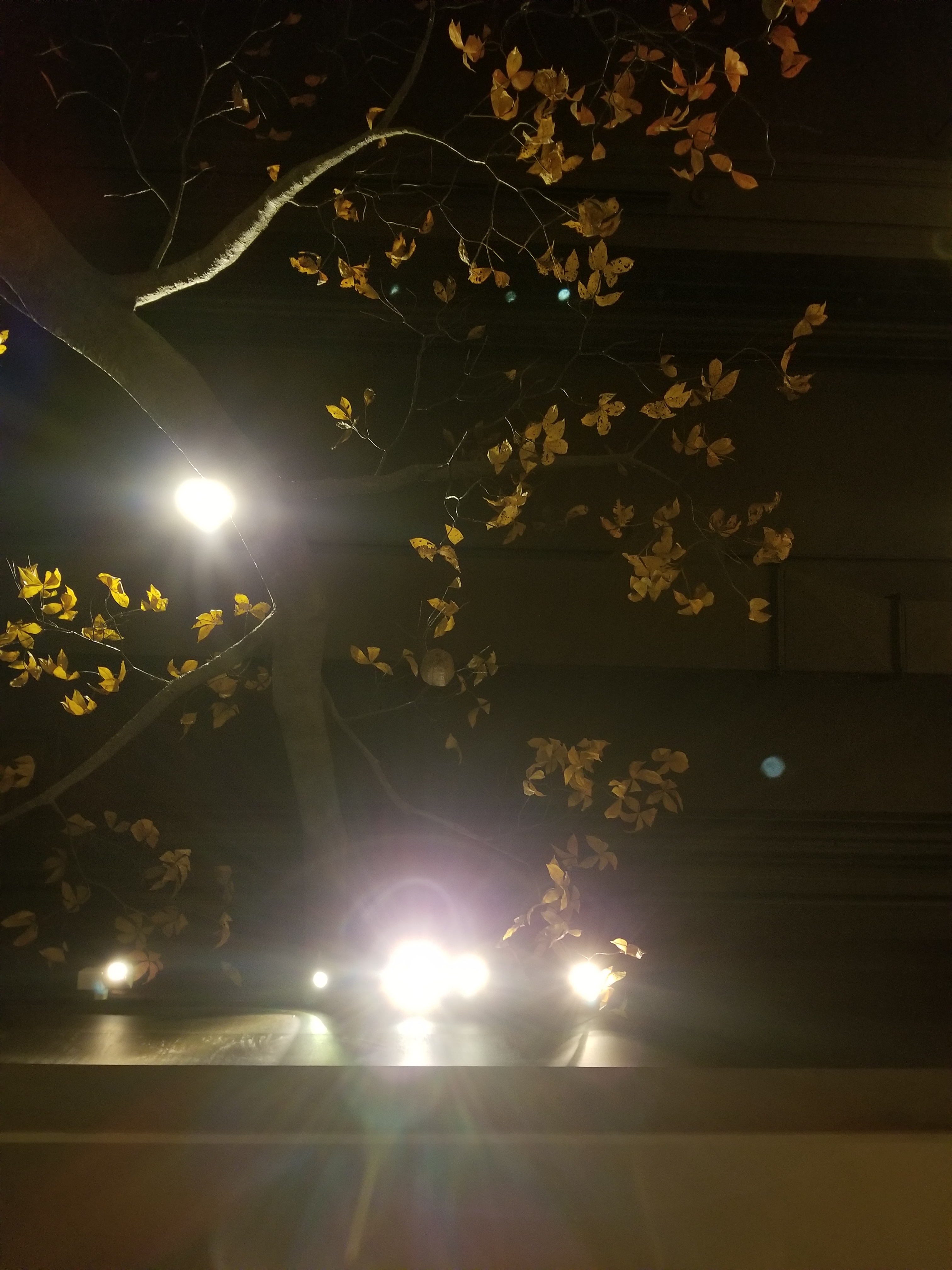 Photos for Space – Matthew Floyd
